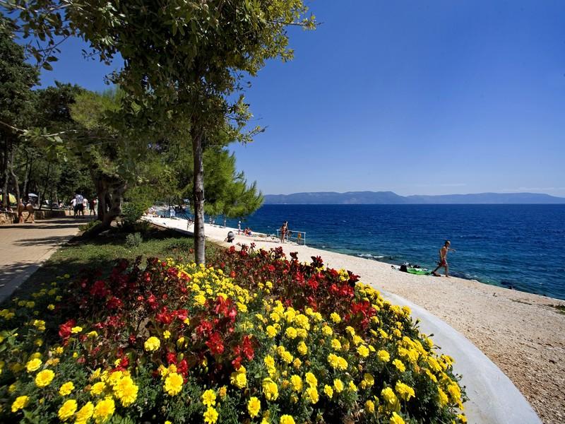 Strand Lanterna | Strände in Istrien