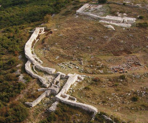 Monkodonja | Experiences in Istria