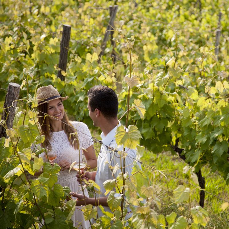 Dešković | Vinske ceste Istre